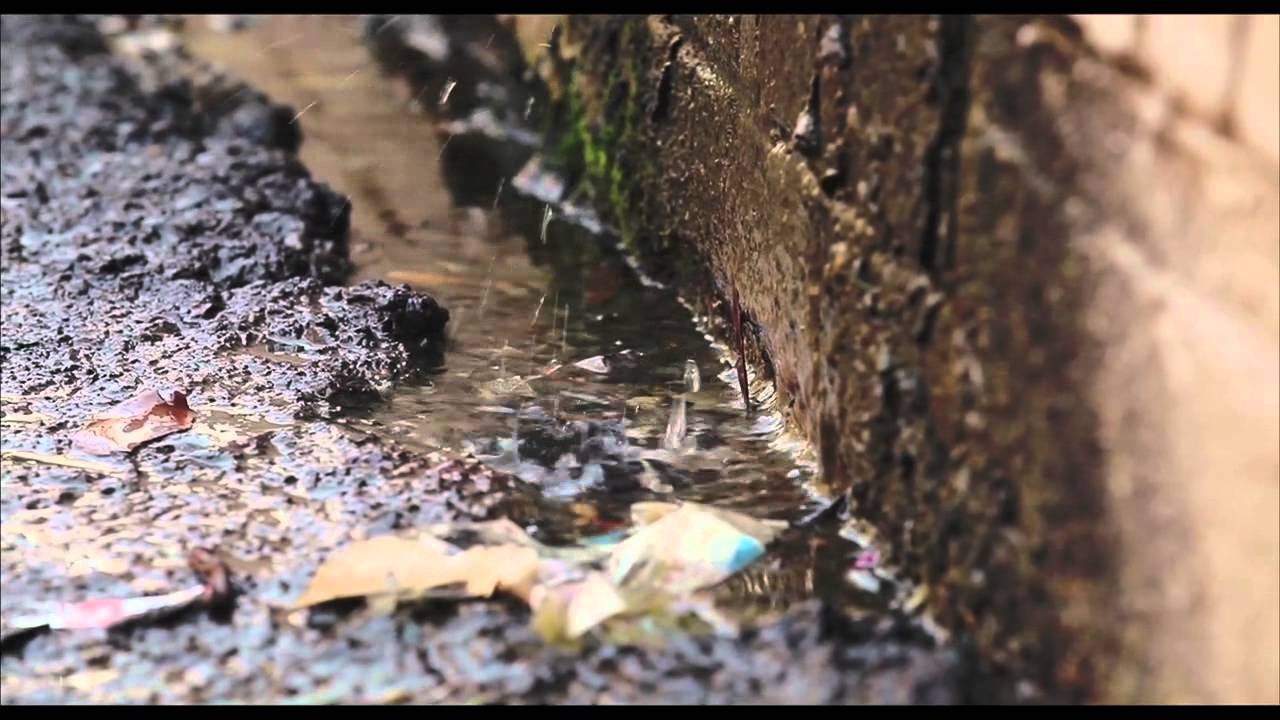 Taylor Beene | Arkansas Senior Portraits MLITTLEPHOTOGRAPHY - YouTube