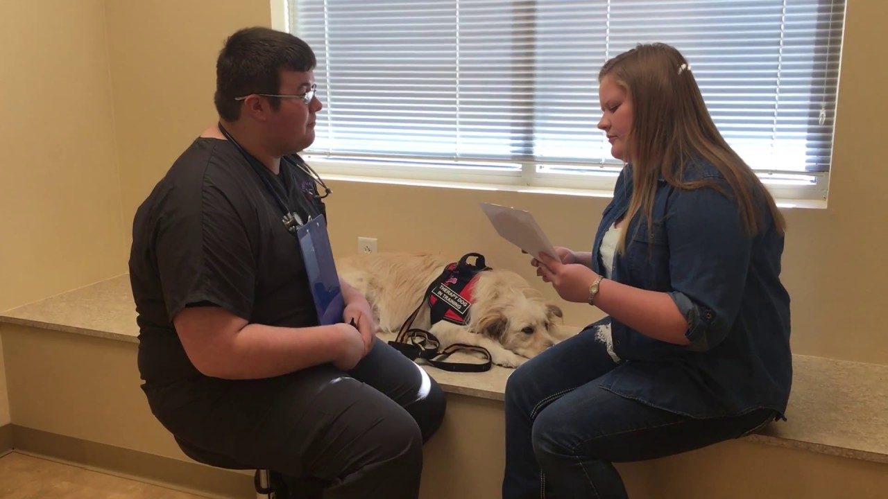 Lily Sees the Vet! *Obstetrics and Gynecology* (Part 1) - YouTube