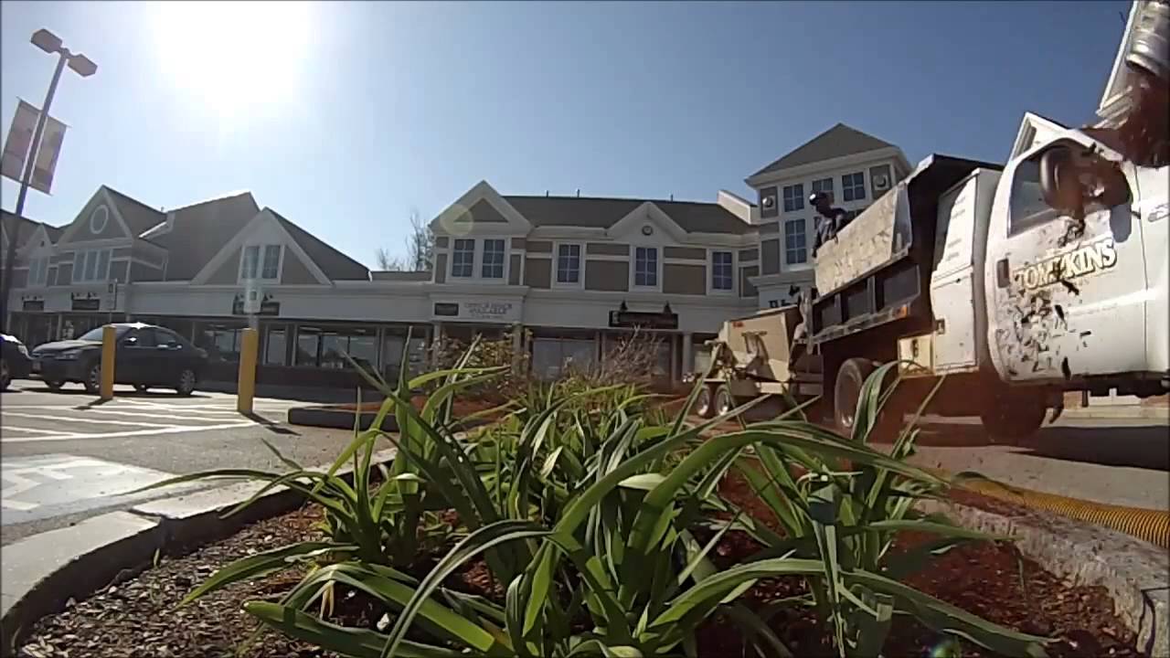 Bark Blower Model BB302 In Action!!! - YouTube