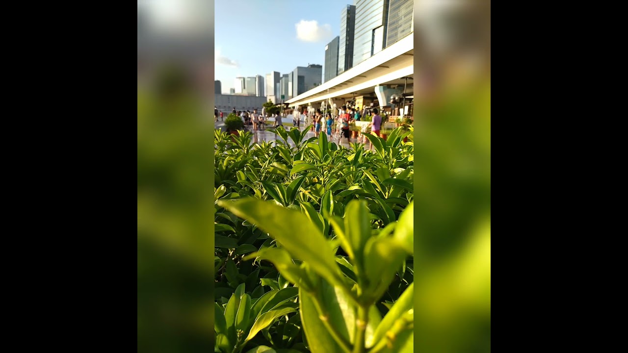 NGINTIP BOCIL MANDI 🤭🤭 - YouTube