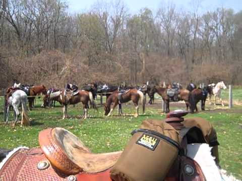 Goofy Ridge Sportsman Club. The Chicken Shack. Great Chicken! - YouTube