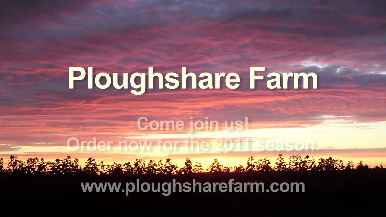 Ploughshare Farm - YouTube