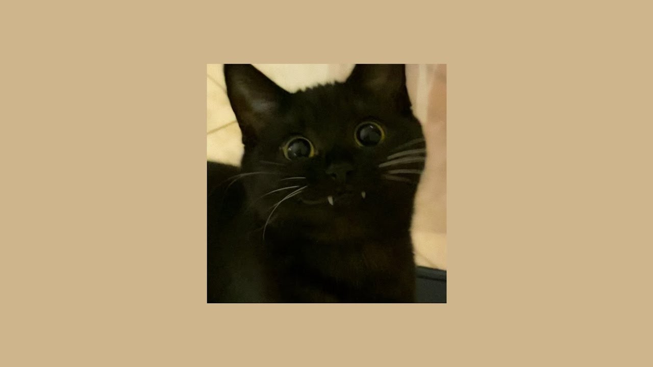 Nightcore/sped up - Black Magic (Little Mix) - YouTube