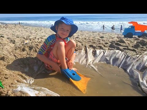 Swimming Pool on a Beach - #kids #fun #play #beach #activities #family #pool