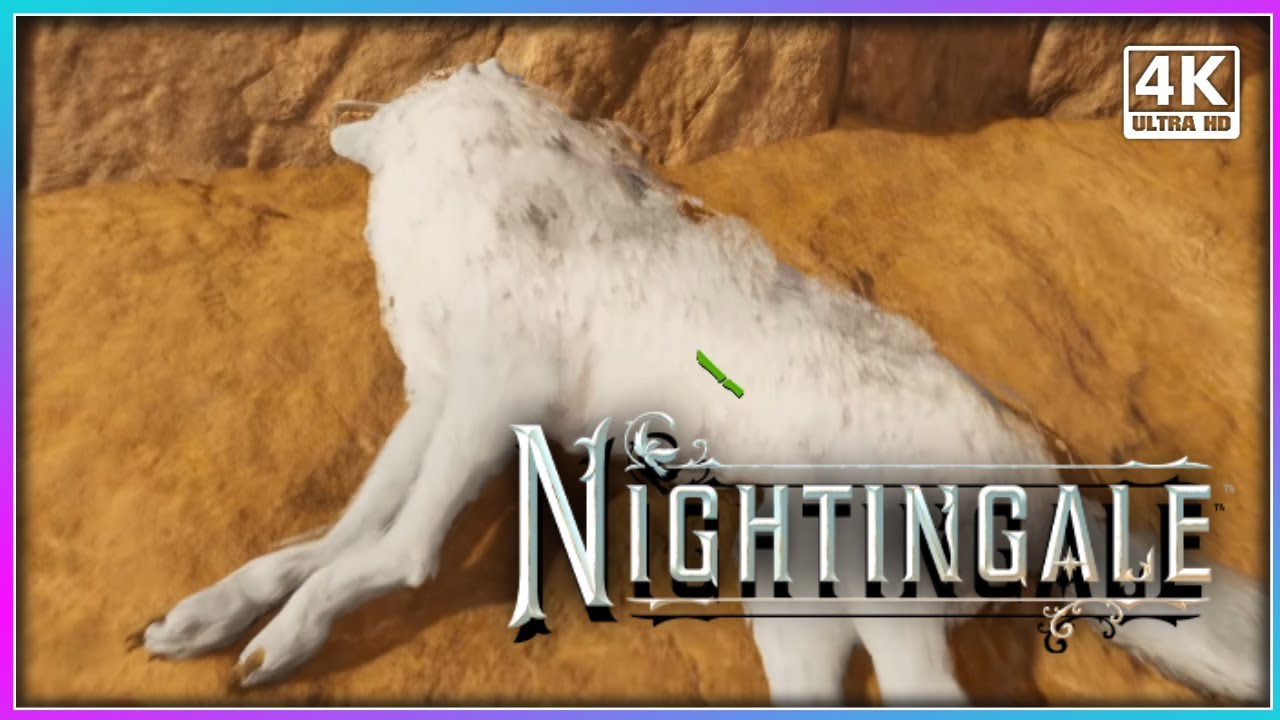🦌 | Dieser Doofe Hirsch | #12 | Nightingale | 4K - YouTube