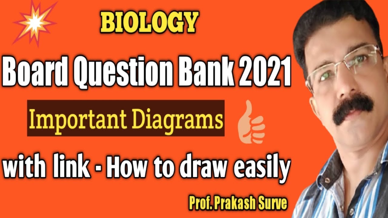 Board question bank Diagrams with link for all diagrams with Easy Steps ...