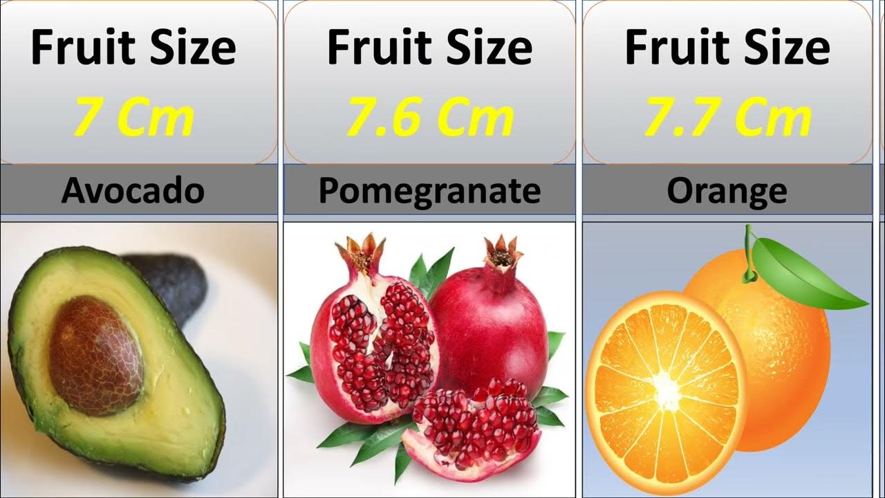 fruits-size-comparison-all-fruits-sizes-fruit-comparison-youtube