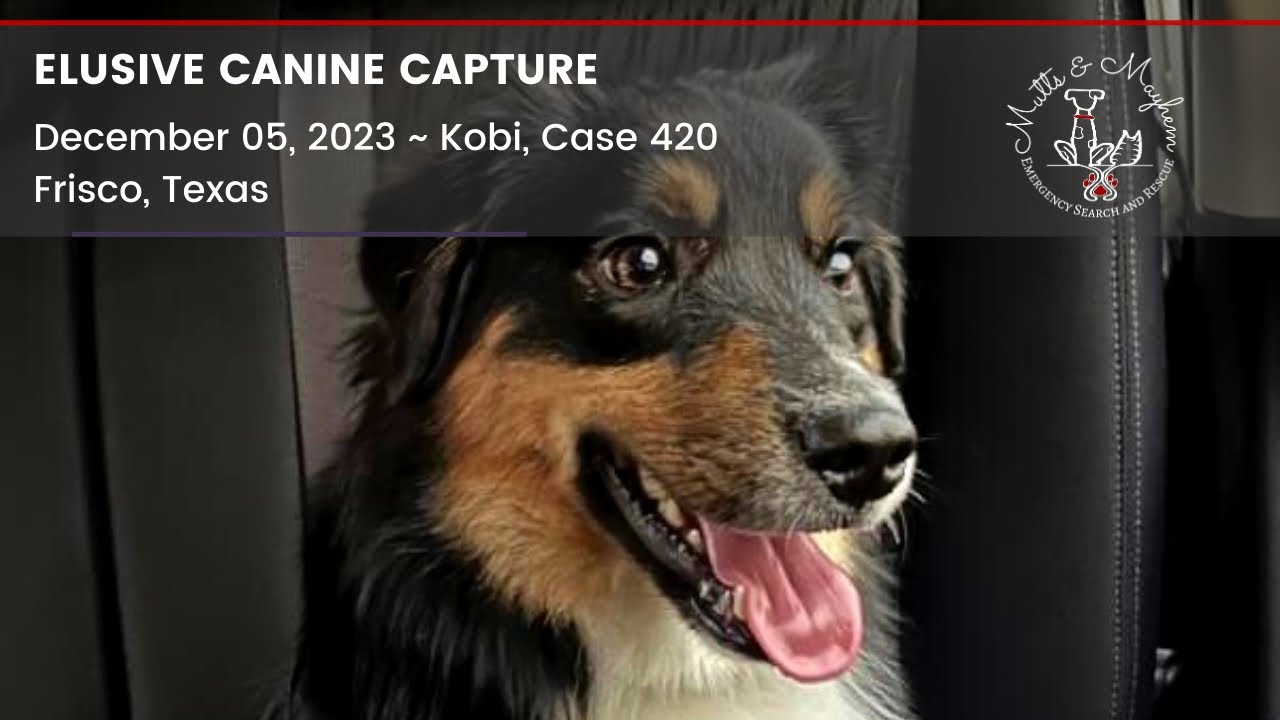 Staging & Capture, Kobi, Case 420, Frisco, Texas - YouTube