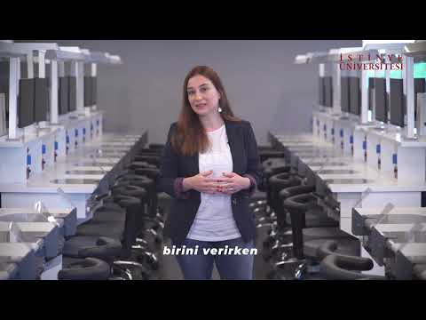 Tıbbi Görüntüleme Teknikleri Programını Neden İstinye Üniversitesi'nde Okumalısın?