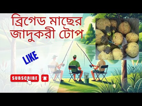 ব্রিগেড মাছের জাদুকরী টোপ!! Magical Baits for Brigade Fish!! - YouTube