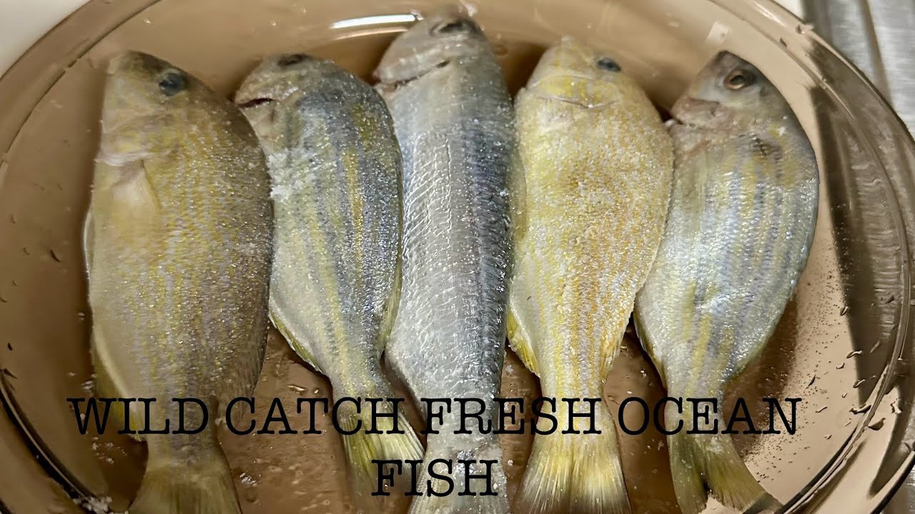 SATISFYING OCEAN WILD CATCH FISH CLEANING AND SCALING|ODDLY SATISFYING ...