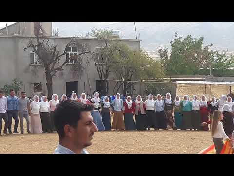 SILVAN RECEP KARWAN GÜNDE SINE  OYUN BELÜMTE