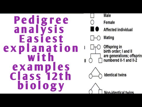 Pedigree analysis # pedigree solved examples# pedigree analysis 12th ...