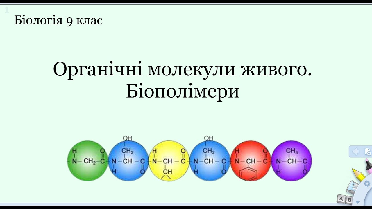 Біологія 9 клас. Органічні молекули живого. Біополімери - YouTube