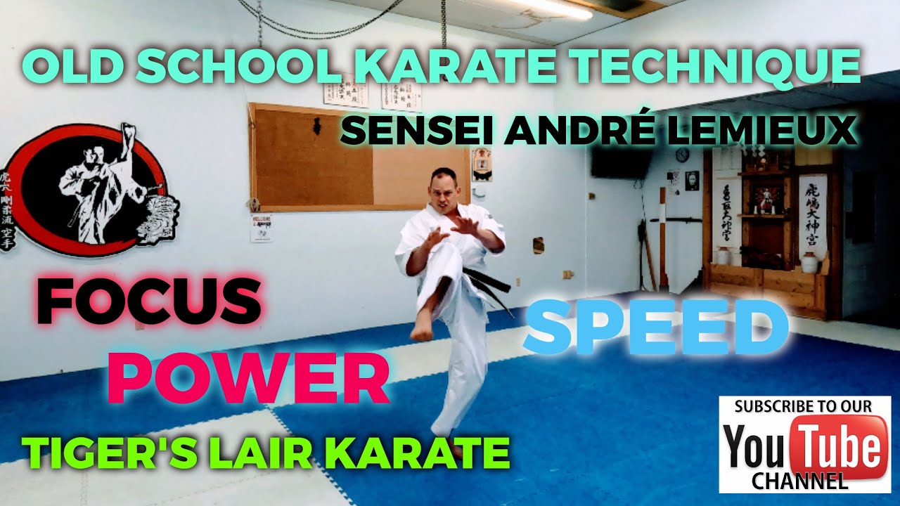 Old School Karate Technique, Front Kick and Lead Punch, #trending # ...