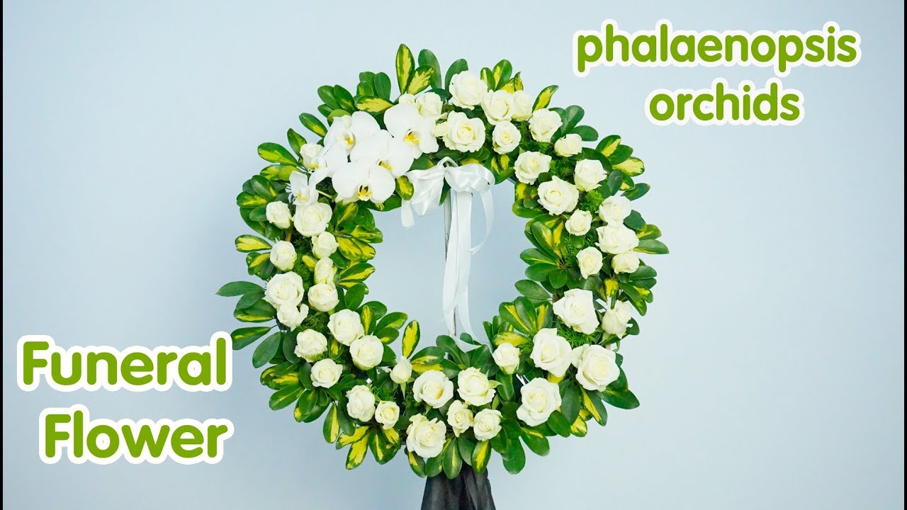 How To Do Funeral Flower Arrangement?Phalaenopsis Orchids, Rose Flower ...