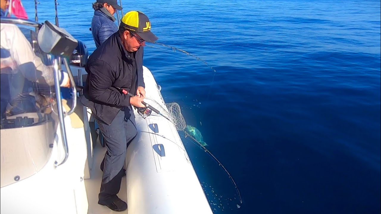 Doublé de Dentis Attaque en Direct ! Pêche en Mer au Vif صيد الدنديق في ...