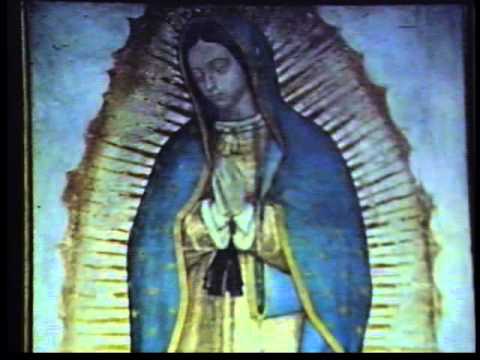 St. Louis Dr. Philip Callahan - YouTube