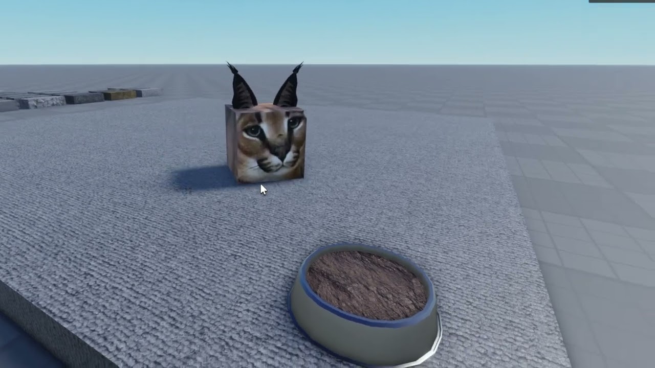 Floppa eats food - YouTube