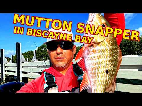 "Epic Fishing at Adam's Key: Testing the New Penn Fierce IV 4000 ...