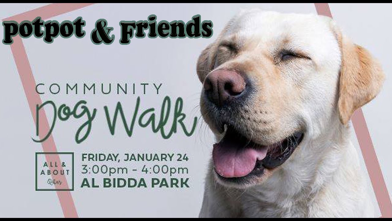 Community Dog Walk | Al Bidda Park - YouTube