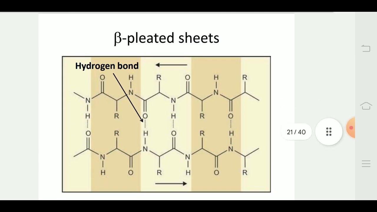 Lecture 15: Medical Biochemistry - YouTube