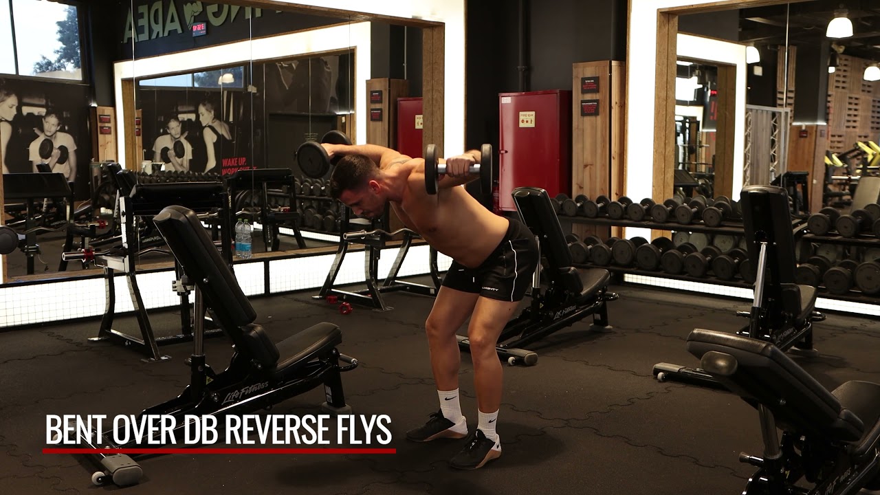הרחקה אופקית כנגד משקולות יד | Bent Over DB Reverse Flys (הדגמה) - YouTube
