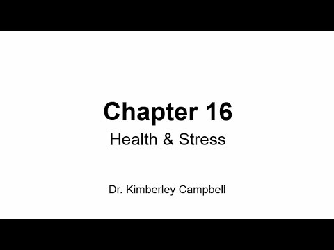 Chapter 16 - Part 2 - YouTube