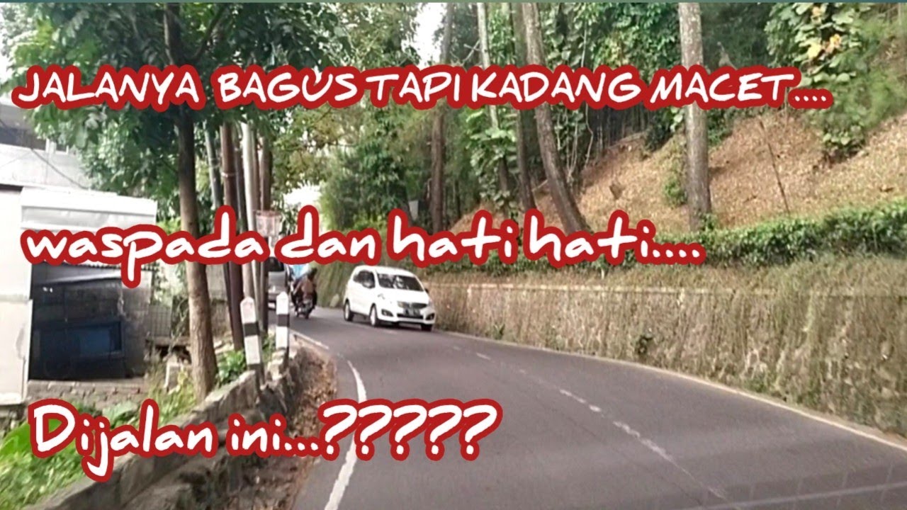 THE PARLOR CAFE - YouTube