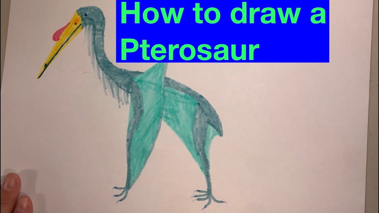 How to draw a pterosaur (tutorial for kids ) - YouTube