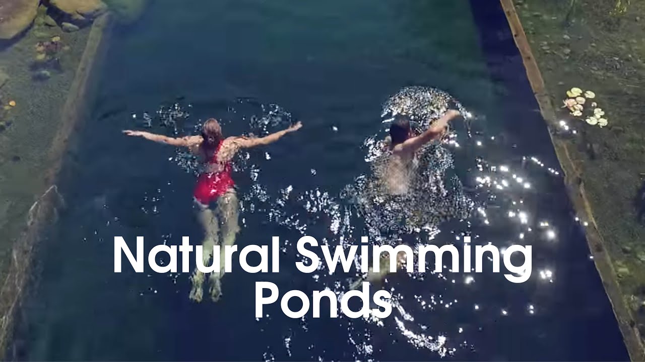 Quiet Nature - Natural Swimming Ponds - YouTube