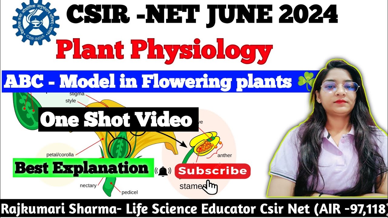 CSIR-NET Dec 2024 | ABC Model in Flowering Plants Simplified ...