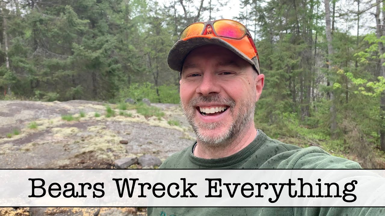 Bears Wreck Everything - YouTube