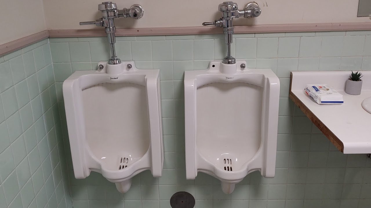 [234] More American Standard Washal Urinals and Madera Toilets in TU ...