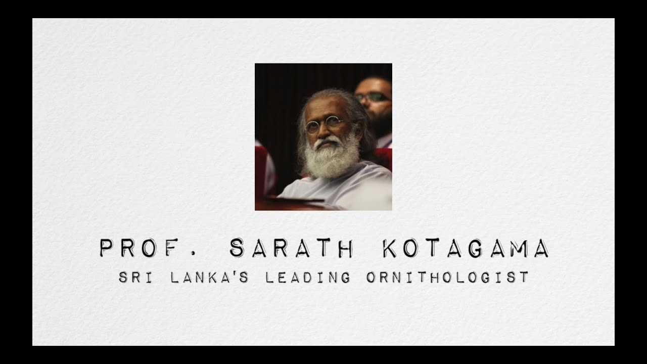 Celebrating World Environment Day 2021 - An Exclusive With Sri Lankan ...