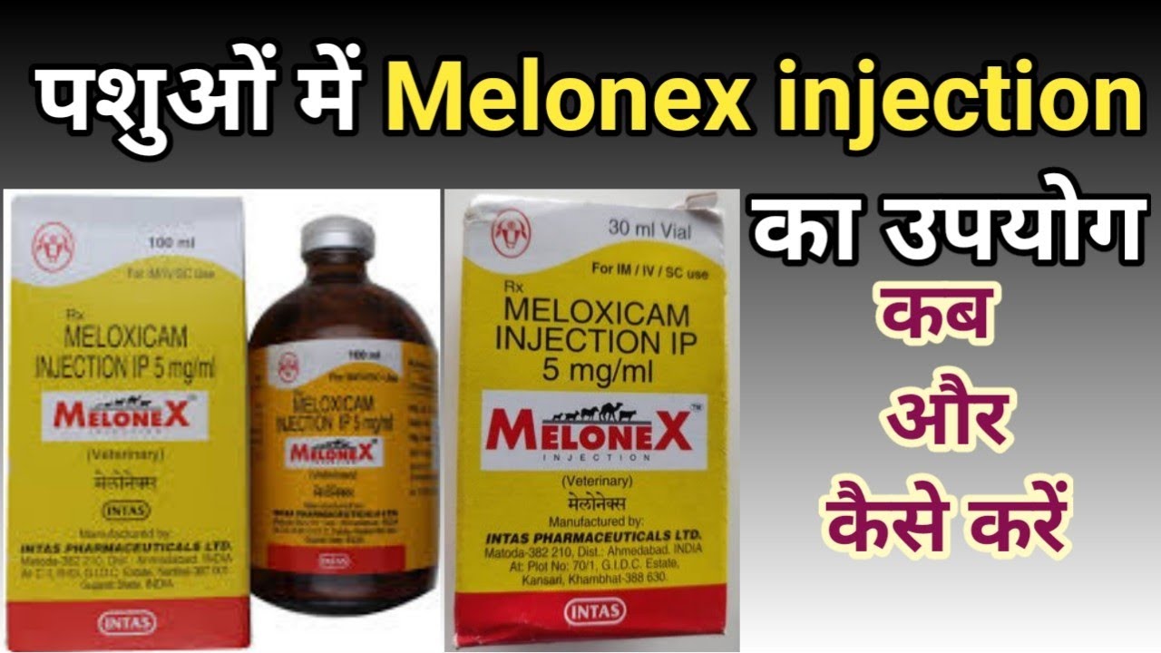 Melonex | Melonex injection | Melonex injection use for cow, buffalo ...