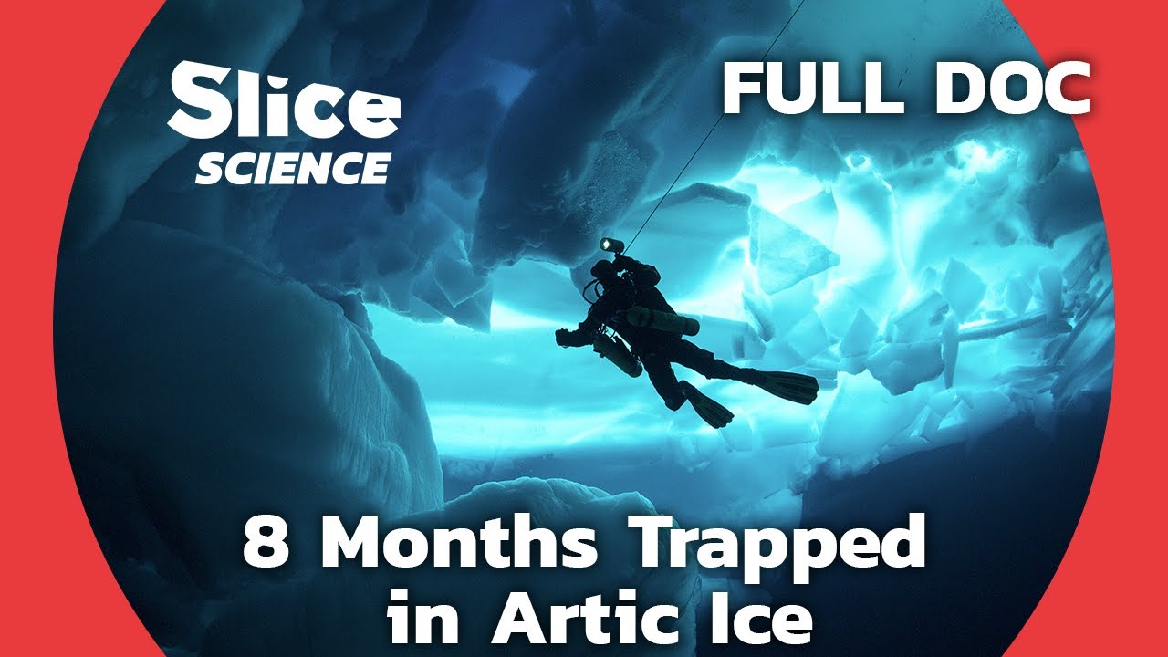Arctic Expedition: Climate Change Study & Human Adventure | SLICE ...