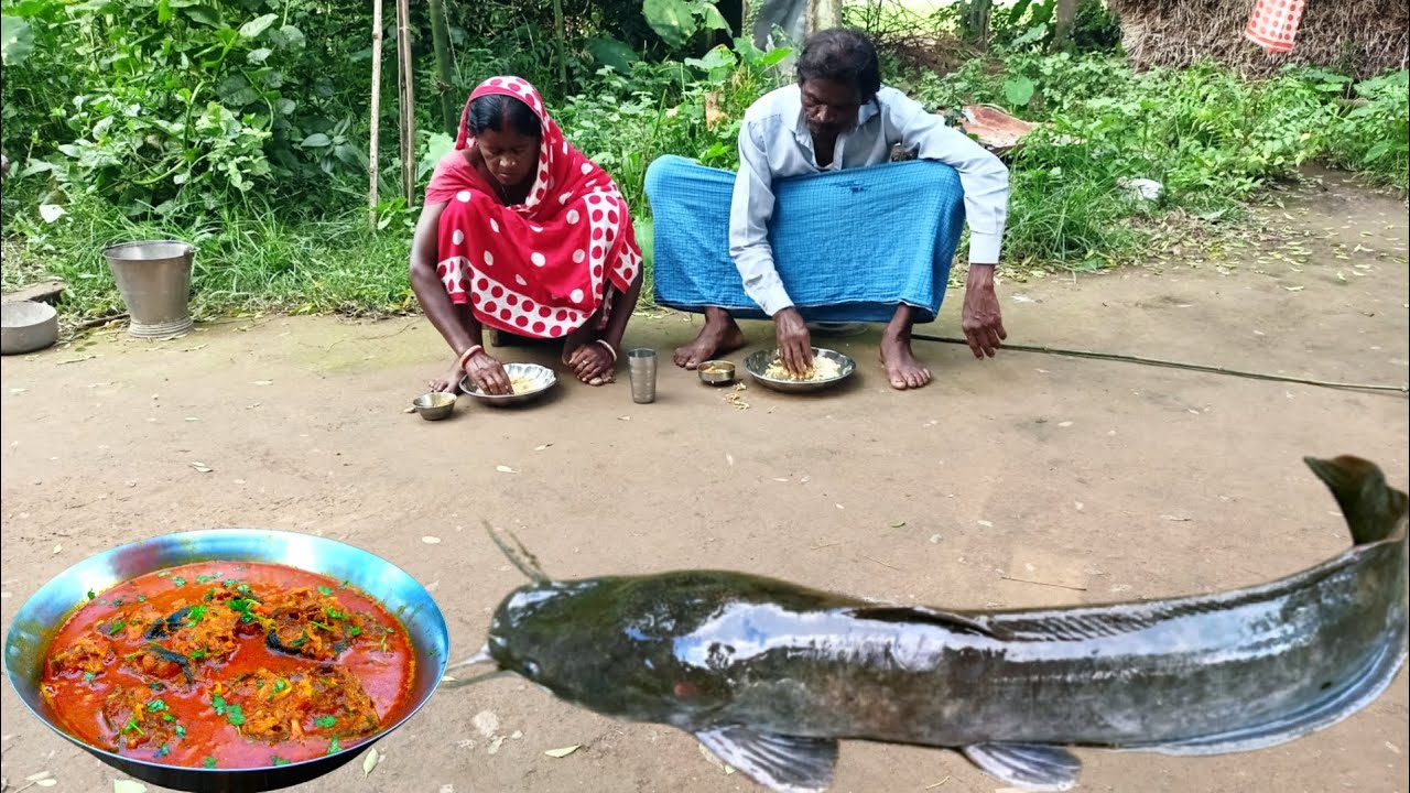 hybrid MAGUR FISH curry delicious recipe|cooking and eating catfish ...