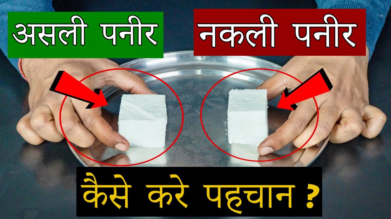 Fake Paneer VS Real Paneer - Testing ( नकली पनीर को कैसे पहचाने ) - YouTube