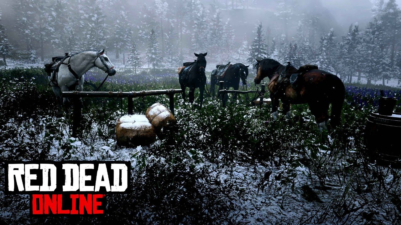 RDO Livestream 12/28/2024 - YouTube