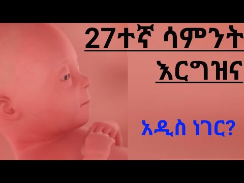 የእርግዝና 27ተኛ ሳምንት እርግዝና/week 27th pregnancy/health education - YouTube