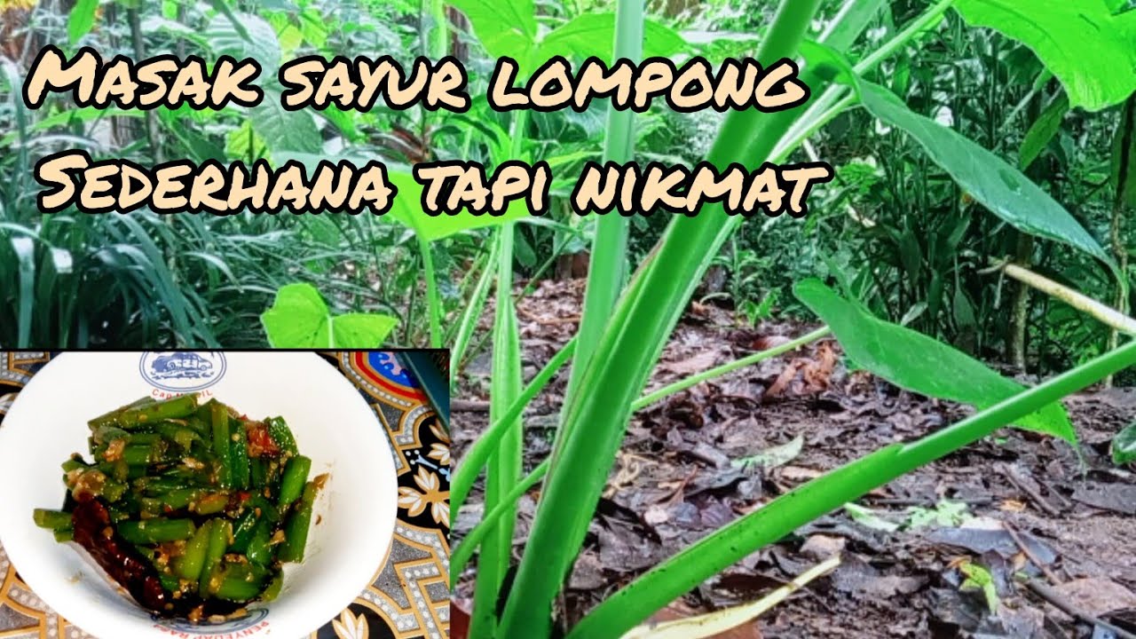 MASAK SAYUR LOMPONG || Sederhana tapi nikmat - YouTube