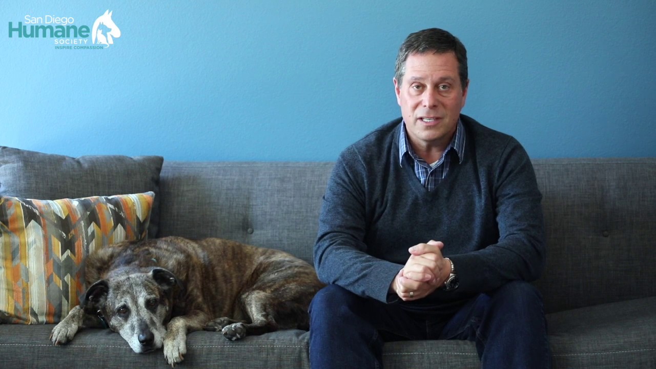 A Message from our President and CEO, Dr. Gary Weitzman - YouTube