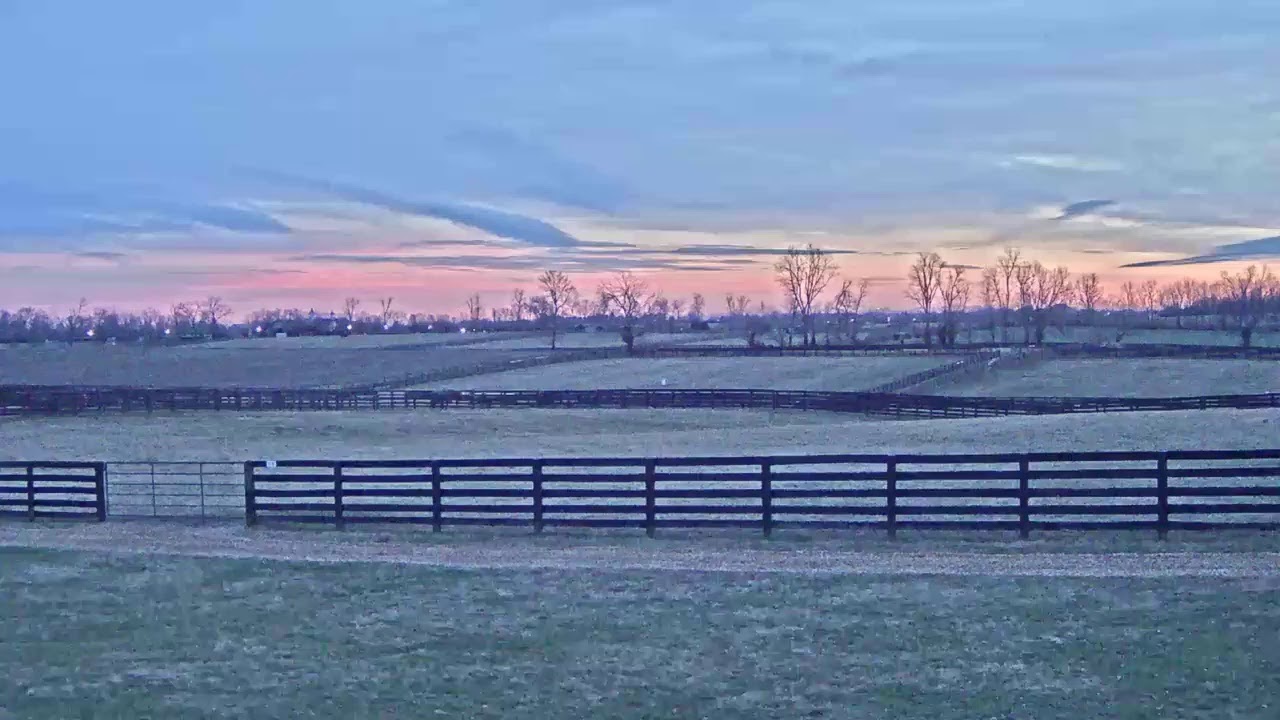 Gun Runner Paddock - YouTube