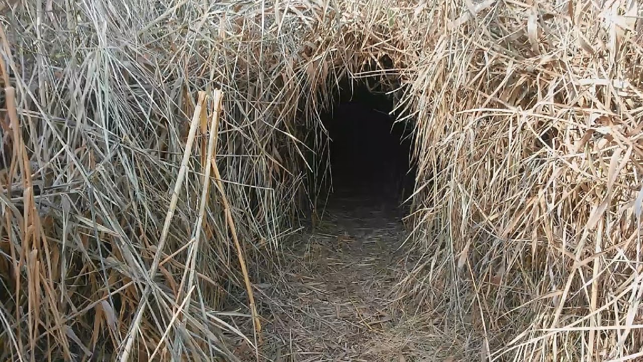 Exploring a hidden hot spring at sheep's bridge. And some scenery in AZ ...