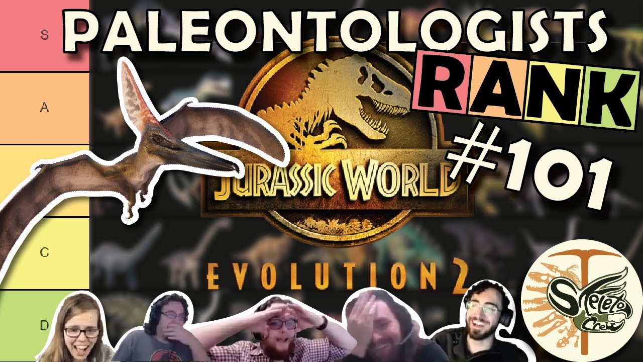 A FINGERLESS Pterosaur?! | Paleontologists rank BARBARIDACTYLUS in ...