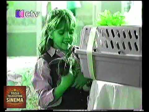 Ölümcül İstila: Katil Arı Kabusu (1995) | Deadly Invasion: The Killer Bee Nightmare