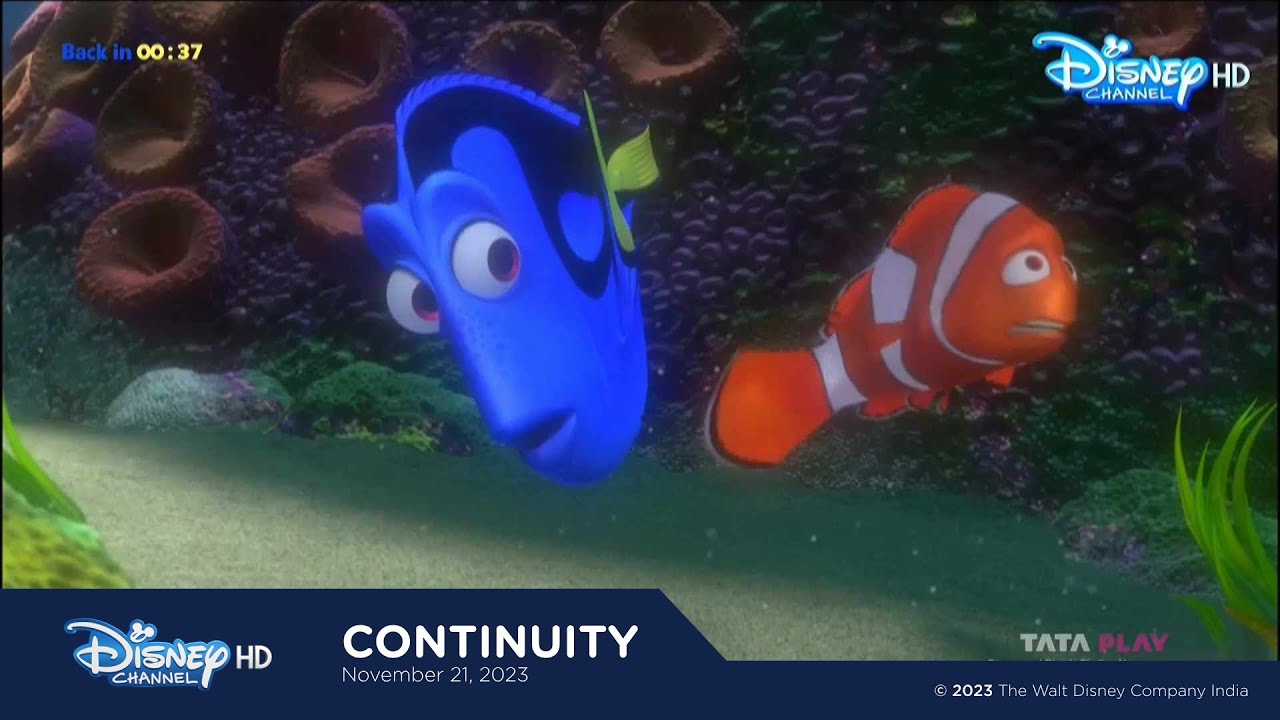 Disney Channel HD (India) continuity | November 21, 2023 - YouTube