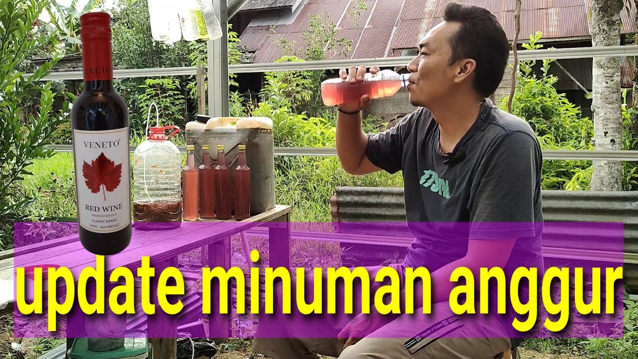 [update] 25 Hari Setelah Proses Pembuatan Wine ANGGUR Yang Terkenal ...
