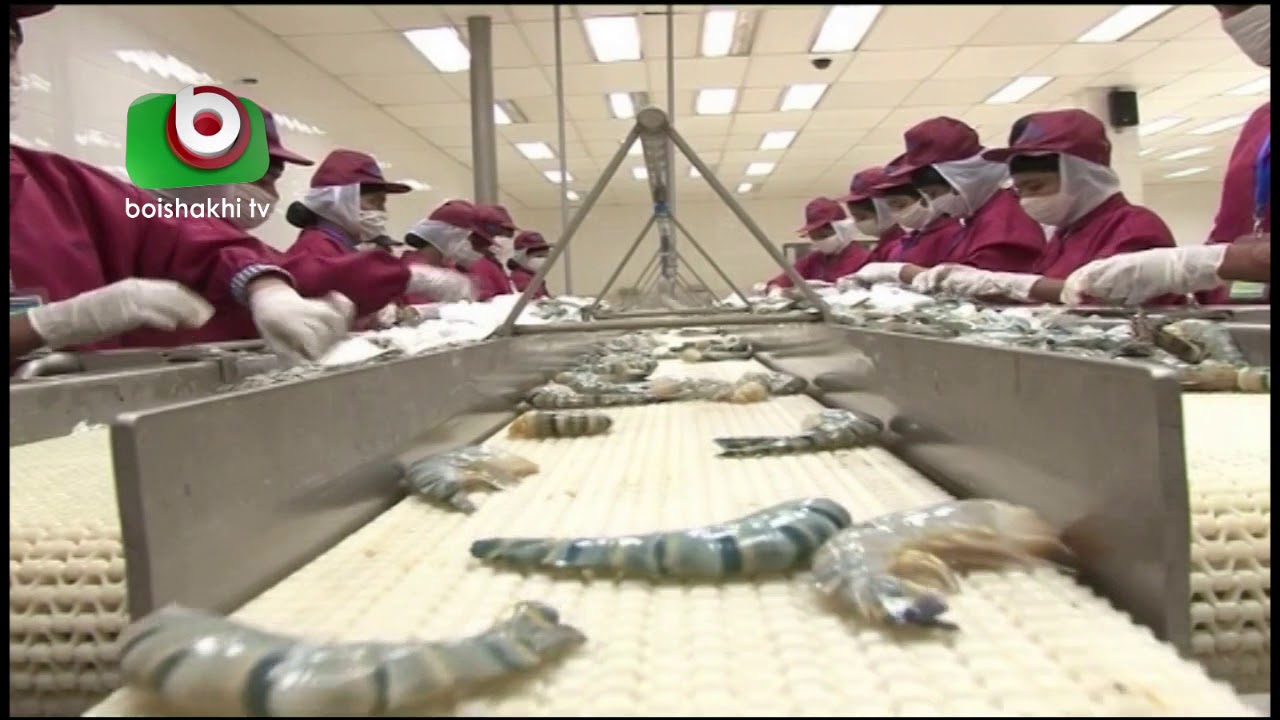 বাংলাদেশের হিমায়িত মৎস খাত | Frozen Fish Sector Of Bangladesh | Beauty ...